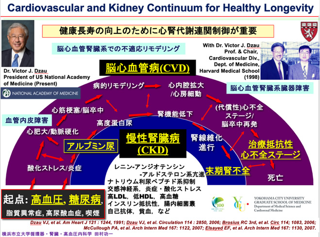 教授挨拶|横浜市立大学医学部 循環器・腎臓・高血圧内科学教室